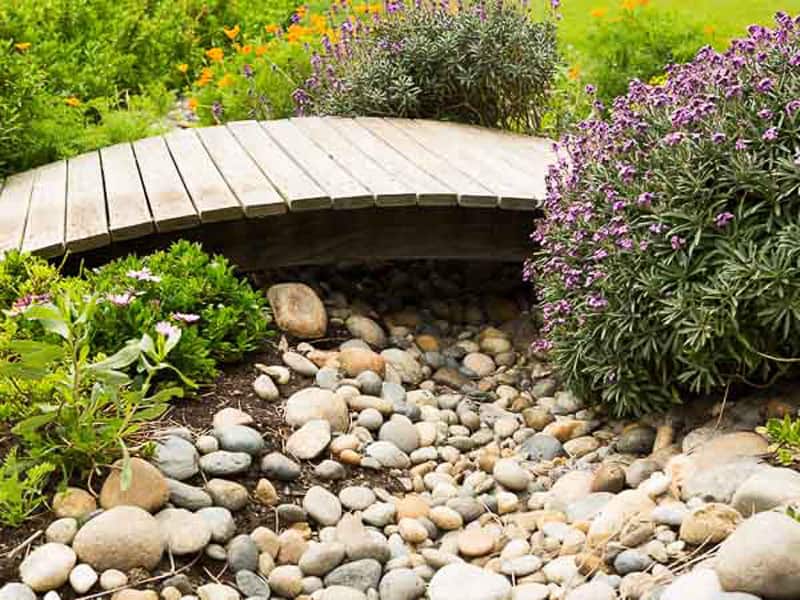 How To Cover Up Mud In Backyard