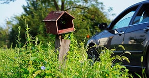 What is the Punishment for Accidentally Hitting a Mailbox